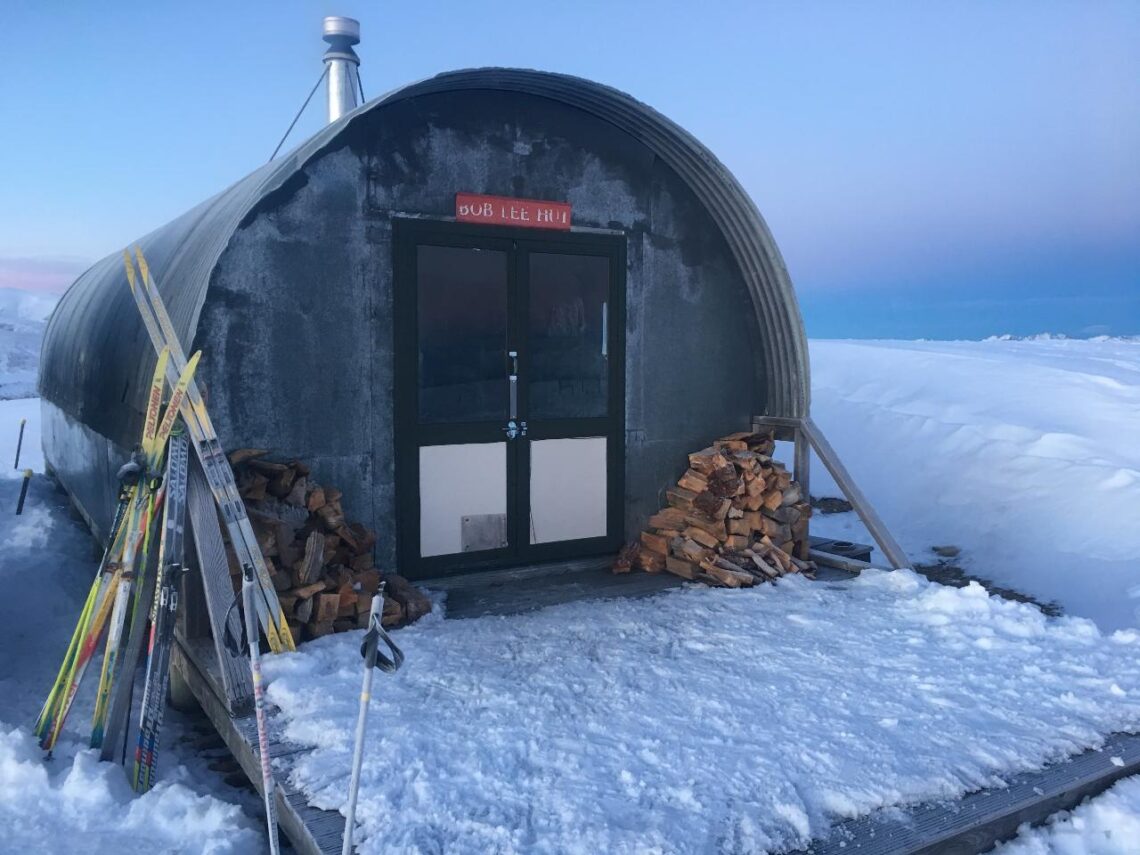 Blog – Deborah Murtagh